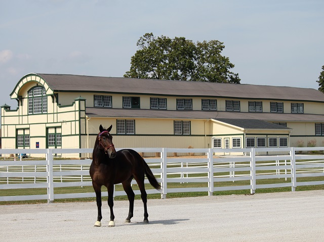 Hanover Shoe Farms | Gallery